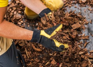 Forward Builders’ Supplies l Building, Landscaping & Civils Materials ...