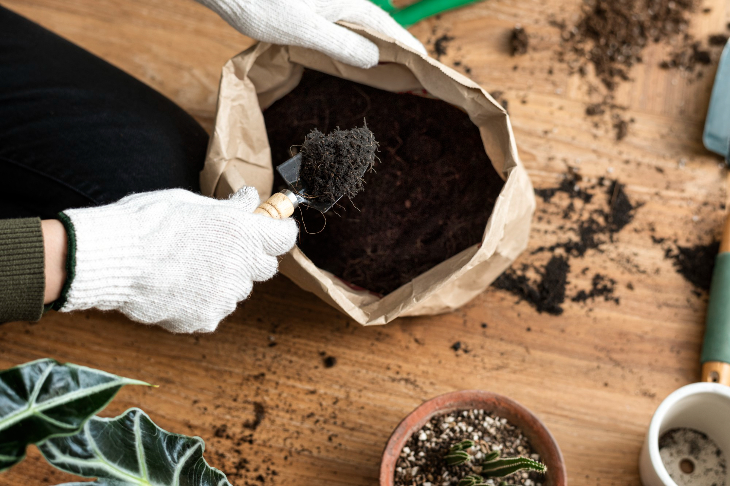 A Guide To Using Compost, Soil, and Bark In Your Garden | Forward ...
