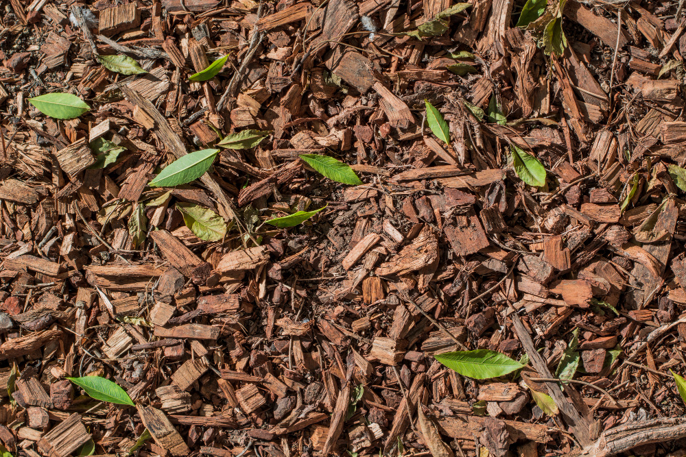 Choosing the right bark for your garden | Forward Builders Supplies
