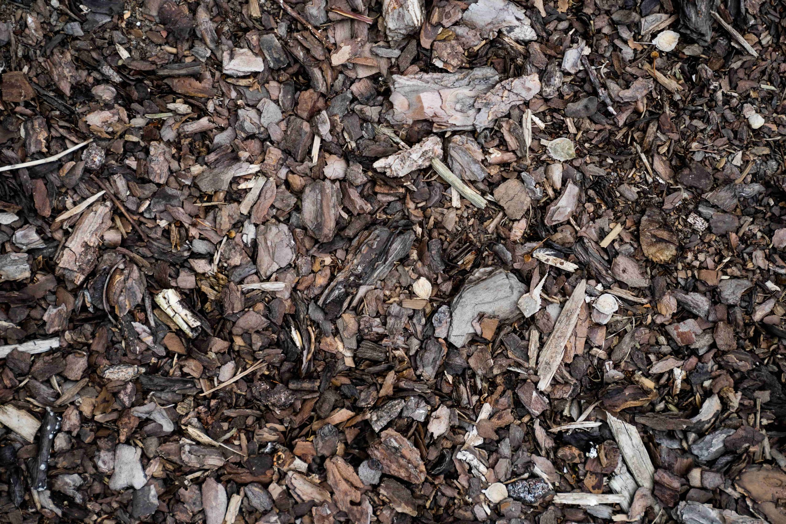 How to put down bark mulch effectively | Forward Builders Supplies